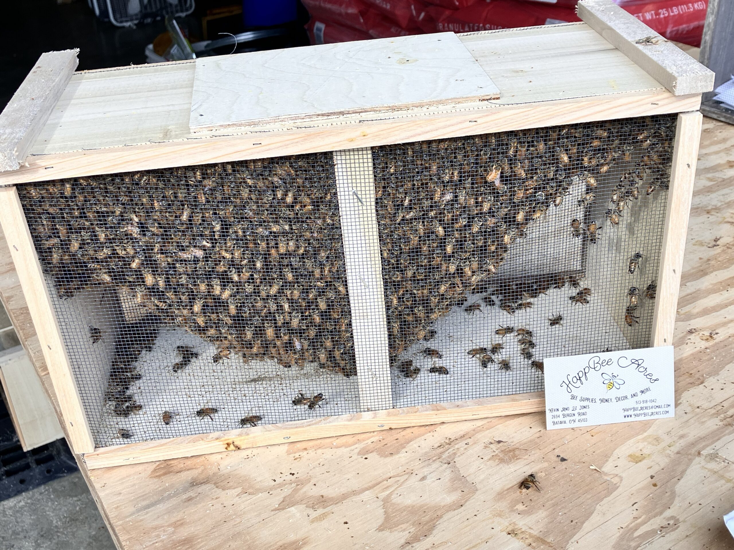 3 lb Package Bees with Mated Queen - HappBee Acres Bee Supply