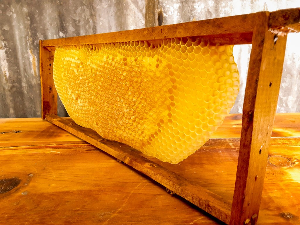 Foundationless Frames Unassembled - HappBee Acres Bee Supply