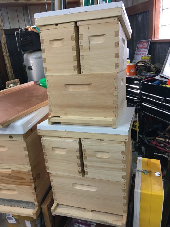 Double Nuc / Resource Hive - HappBee Acres Bee Supply