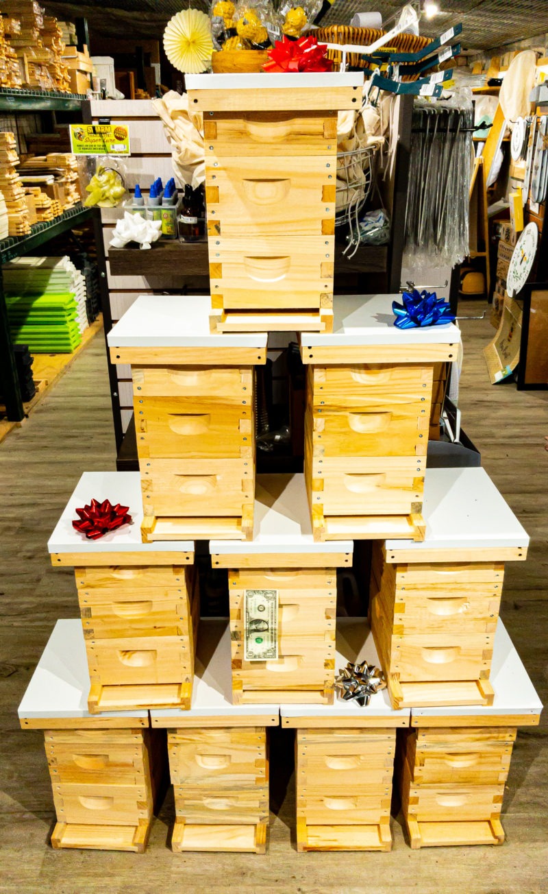 Miniature Scale Beehive - HappBee Acres Bee Supply