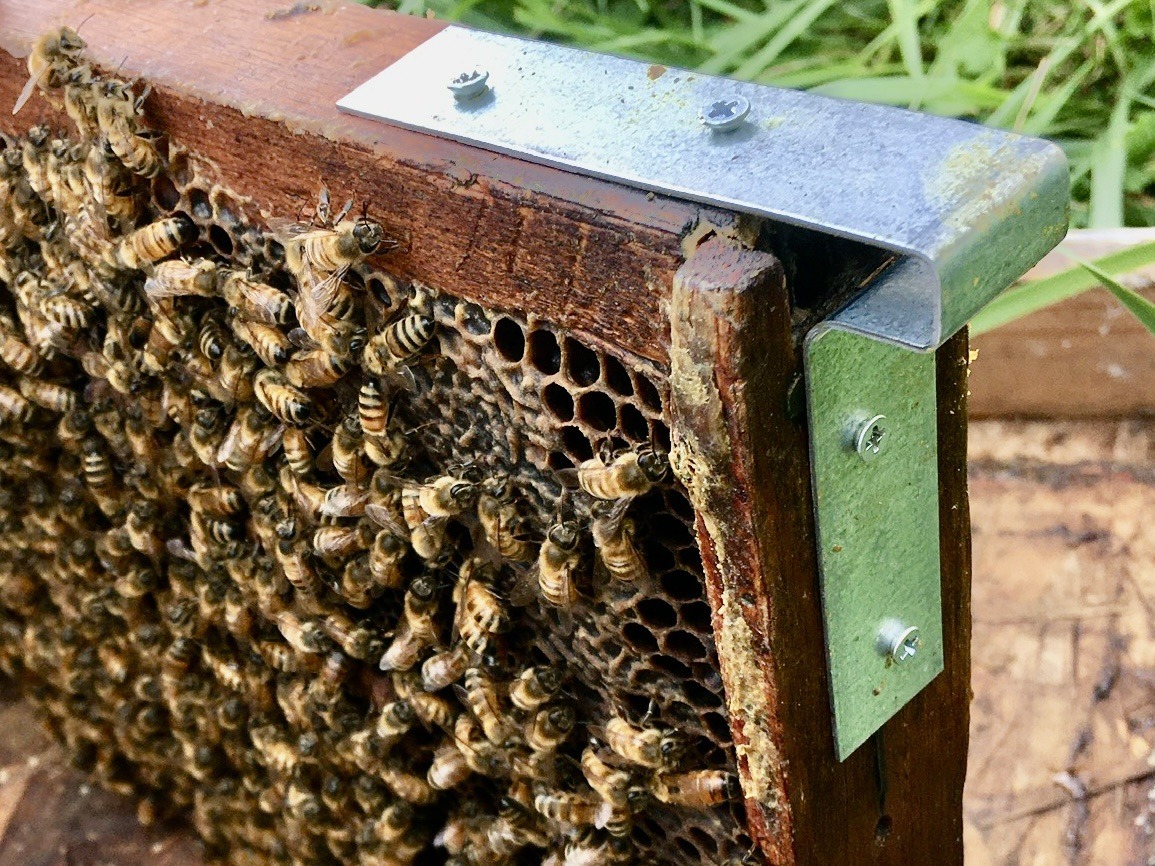 Frame Saver Ear Repair Kit - HappBee Acres Bee Supply