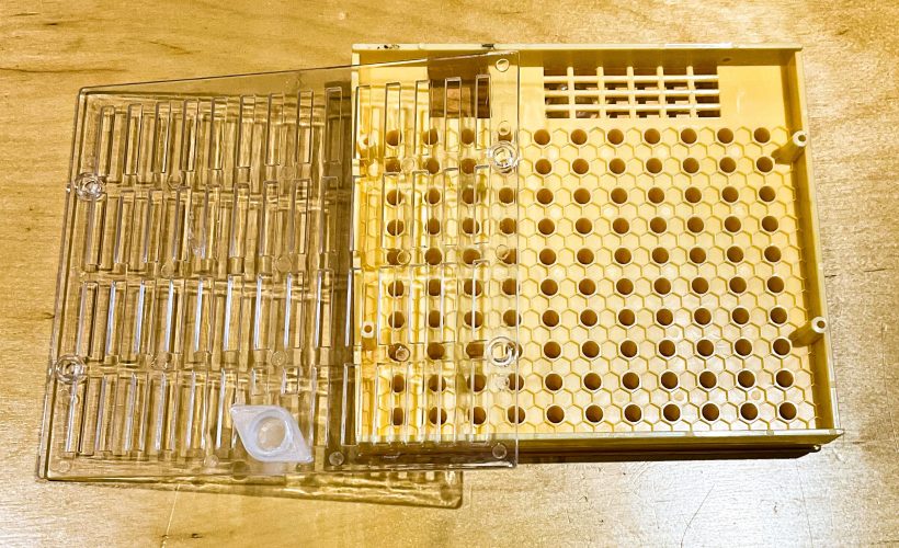 No Graft Queen Rearing Box - HappBee Acres Bee Supply