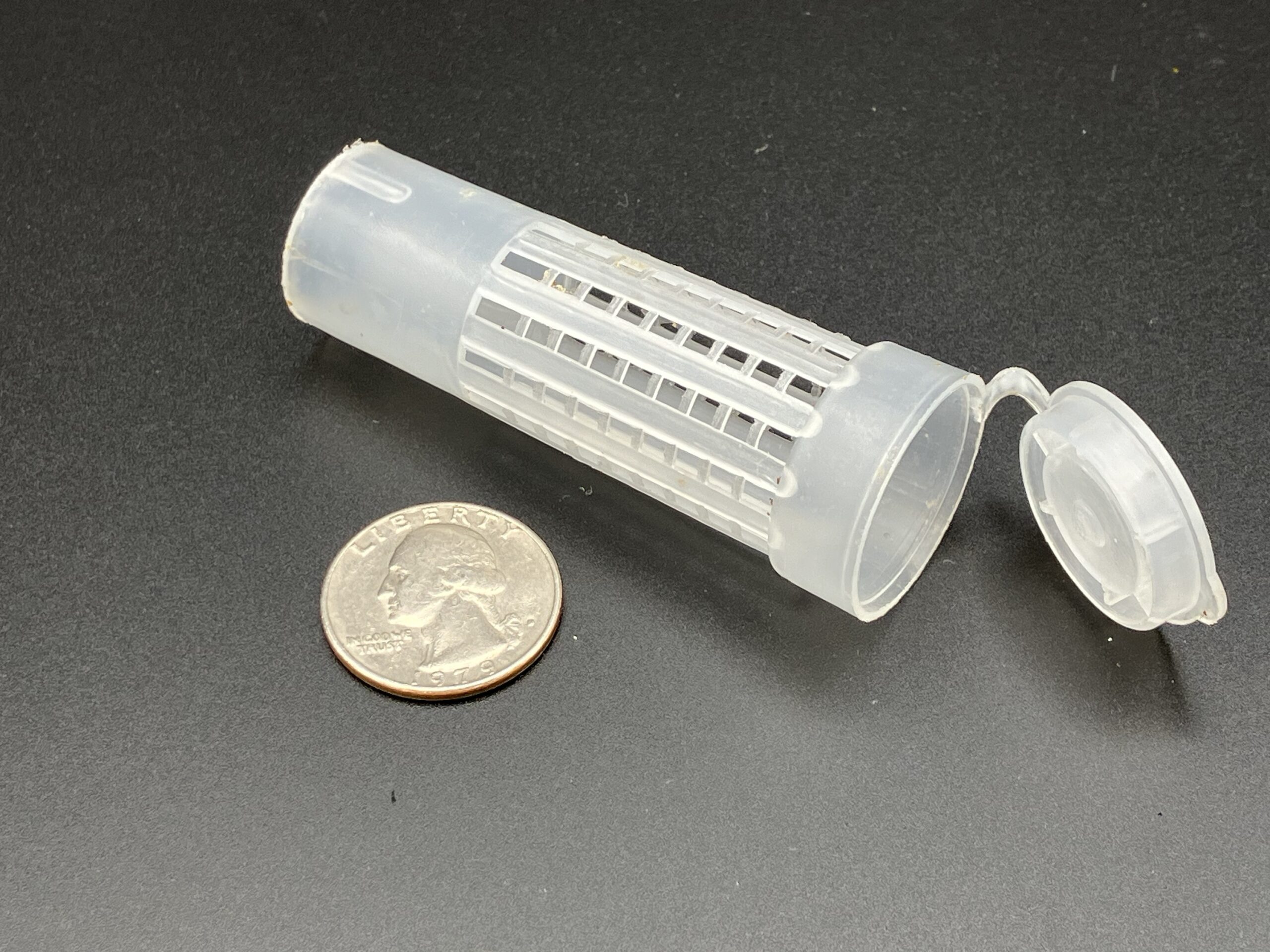 Queen Roller Cage 100 ct - HappBee Acres Bee Supply