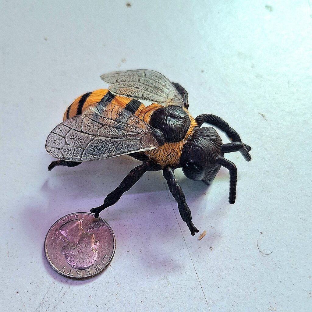 Bee Model - HappBee Acres Bee Supply