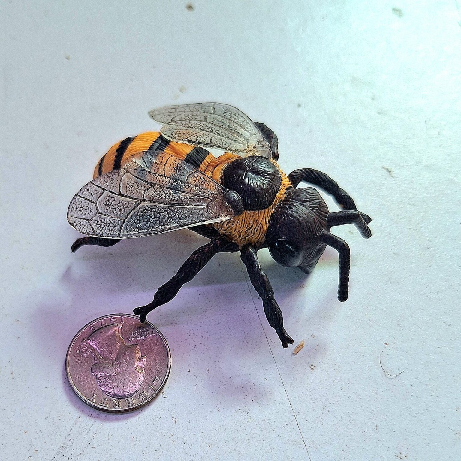 Bee Model - HappBee Acres Bee Supply